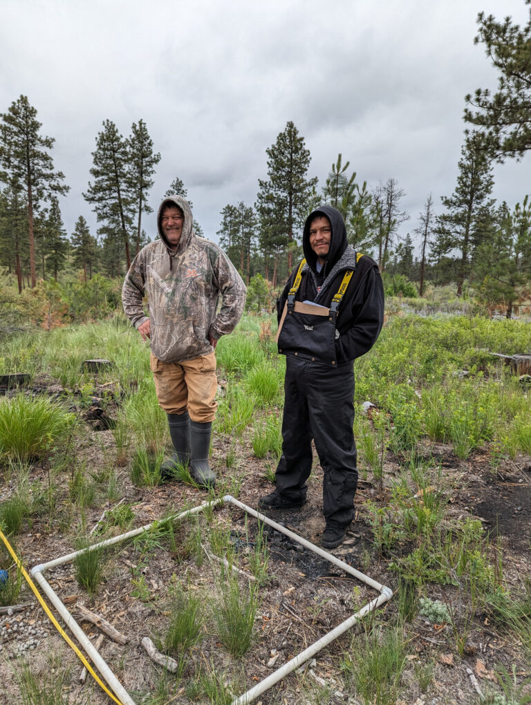 The kinq̓uq̓anki Restoration Project, Columbia Lake East Side : Ktunaxa ...